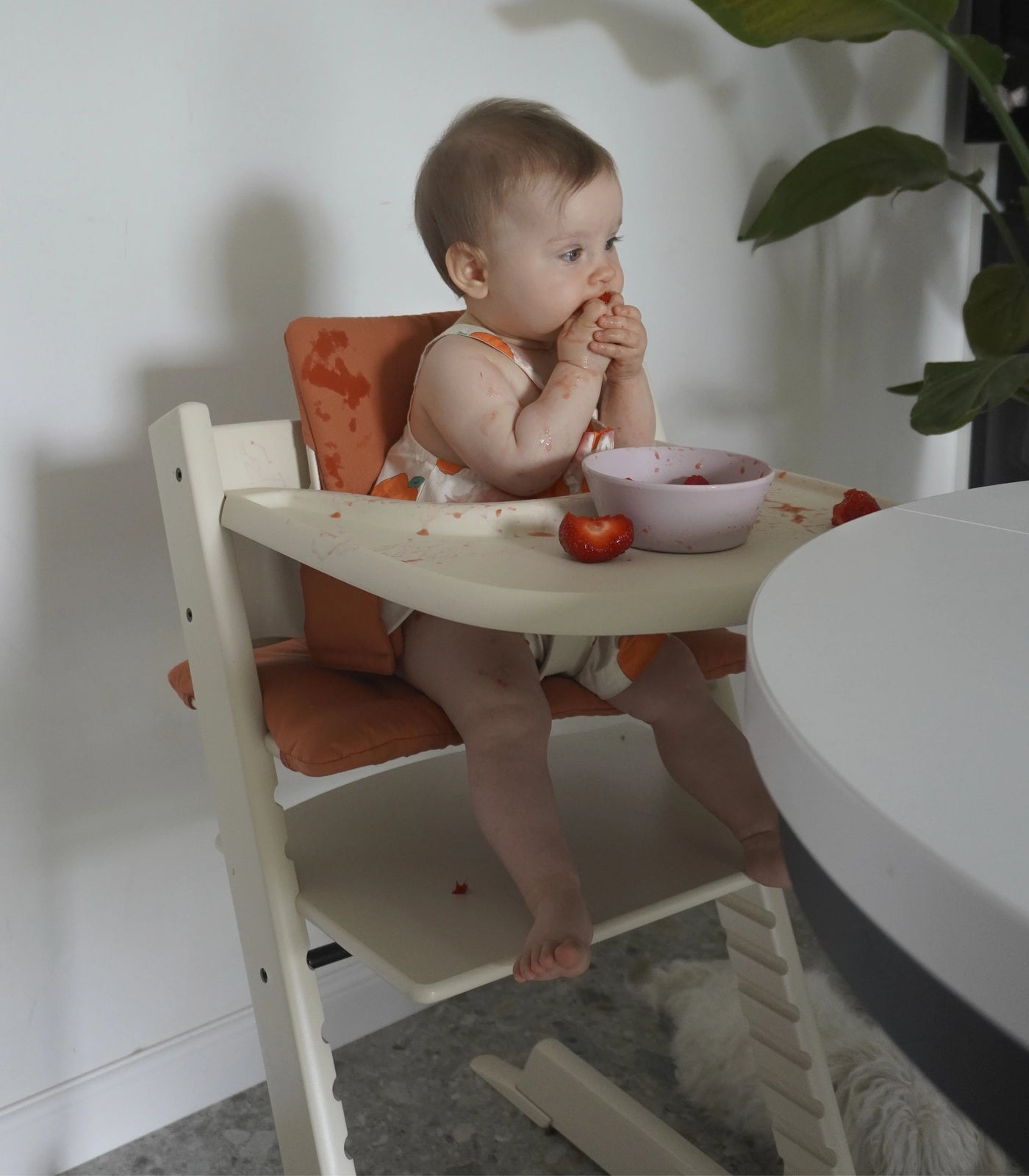 Stokke - Eettablet Tripp Trapp | Vanilla White – Het land van Ooit